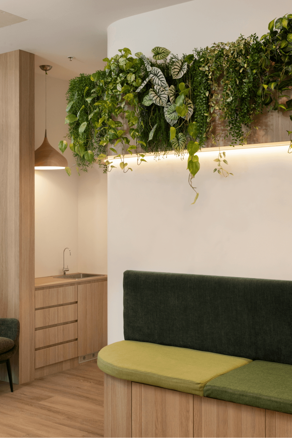 Early Release of Super for Dental Treatment Gold Coast